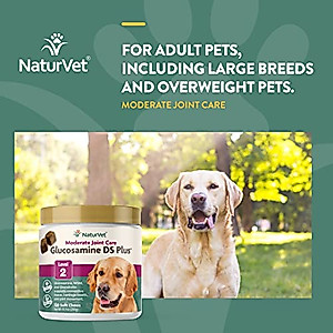 NaturVet – Glucosamine DS Plus - Level 2 Moderate Care – Supports Healthy Hip & Joint Function – Enhanced with Glucosamine, MSM & Chondroitin – for Dogs & Cats–120 Soft Chews