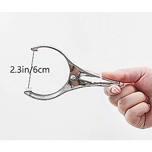 FOMMEN Large Heavy Duty Metal Clothespins 6 Packs Stainless Steel Clothespin,Big Beach Chair Towel Clips,Clamp for Quilt,Outdoor Light Clips