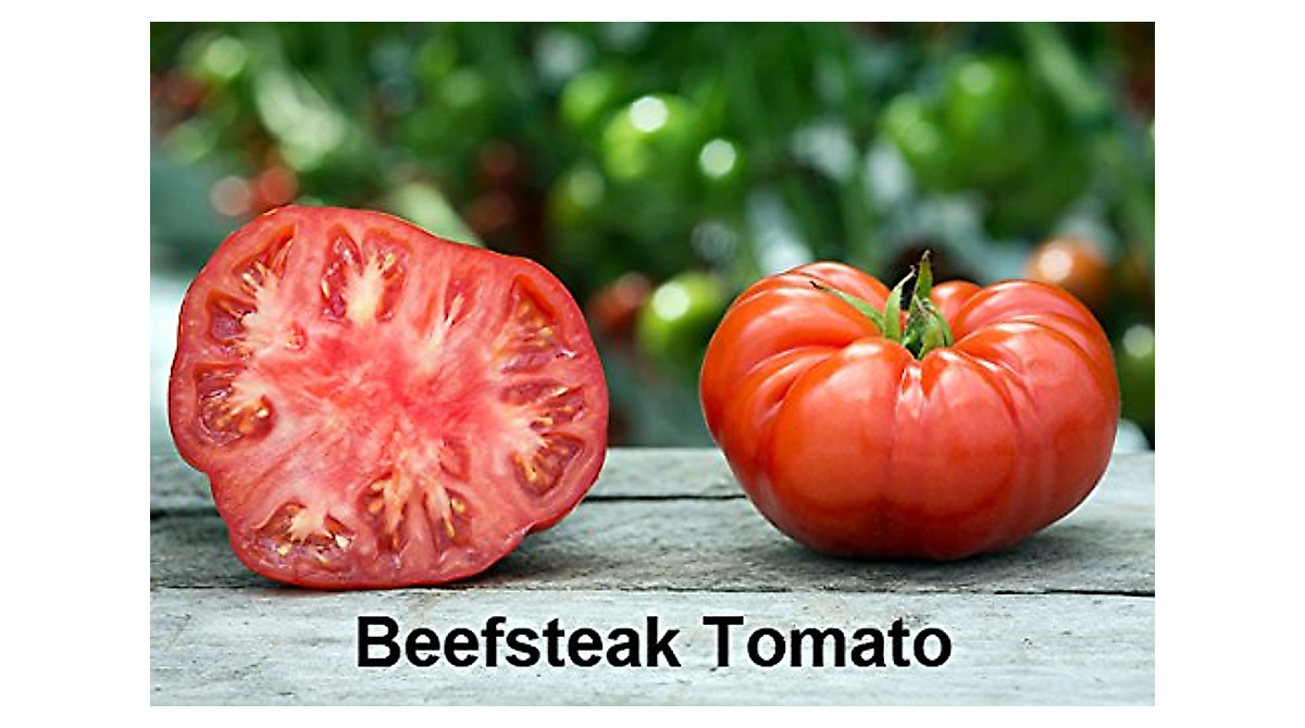 Giant Tomato Seeds - 19 Heirloom Varieties for Rich Harvest