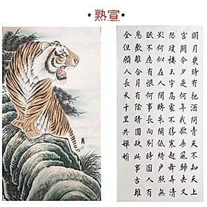 MEGREZ Chinese Japanese Calligraphy Xuan Paper, Rice Paper Sumi Calligraphy Paper for Calligraphy Brush Ink Writing, Painting without Grids 100 Sheets/Bag,13.4 x 54.3 inch, Shu (Ripe) Xuan