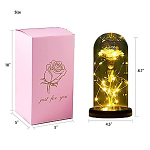 Glass Rose Flower Gifts Galaxy Light Up Rose with Led Light String for Women Birthday Flowers Gifts for Women Mom Preserved Roses Flowers for Delivery Prime for Mothers Day Christmas (Rainbow)