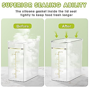 TBMax Rice Storage Container 20 Lbs, Crystal-Clear Large Food Container Rice Holder Bin with Measuring Cup for Flour, Sugar, Oatmeal, Kitchen Pantry Organization and Storage