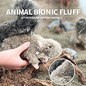 ALL FOR PAWS Squeaky Dog Toys, Animal Plush Dog Toy, Stuffed Dog Toys, Puppy Toys for Teething Small Dogs