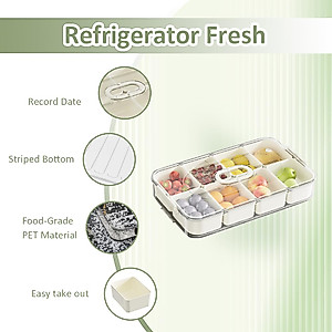 TUZZAN Plastic Bento Snack Box Container with Compartment, Stackable Fridge Container with Lids and Divided Serving Tray, Storage for Food, Vegetables, Transparent, TFSC003