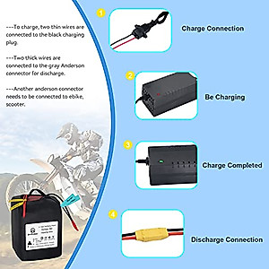 HAYAEnergy 48V 20Ah Ebike Battery LiFePo4 Battery Electric Scooter Battery with Fast Charger and 40A BMS for 250-2000W Motor on Ebike, Motorcycle and Electric Dirt Bikes