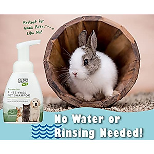 Citrus Magic Pet Foaming Pet Cleanser, 8-Fluid Ounce