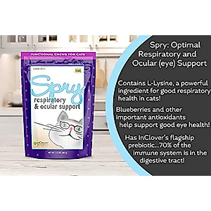 In Clover Spry Daily Respiratory and Ocular Support Soft Chews for Cats, with L-Lysine, Superfoods, and Prebiotics for a Strong Immune System, 2.1 oz. (60 count)
