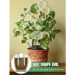 3 Pack Plastic Small Plant Trellis for Climbing Potted Plants- 15.7" × 7.9" Sturdy Honeycomb Shaped Plant Trellis Indoor Non-perishable Houseplant Trellis Starter for Outdoor Garden Flower Support