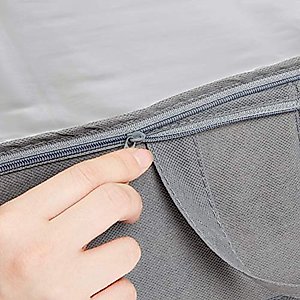 Amazon Basics Under Bed Fabric Storage Container Bags with Window and Handles - 2-Pack, 30.2 x 20 x 5.7 Inches, Gray