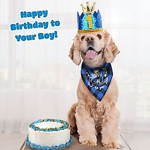 Dog Birthday Costume Set, Boy Dog Birthday Crown Hat Plaid Bandana with Bowtie and Numbers 0-9, Dog Triangle Birthday Scarf Outfit Set for Small, Medium, Large Dogs, Blue