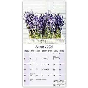 Garden Calendar - Lavender Calendar - Flower Calendar - Calendars 2020 - 2021 Wall Calendars - Garden Calendars - Flower Calendar - Lavendar 16 Month Wall Calendar by Avonside