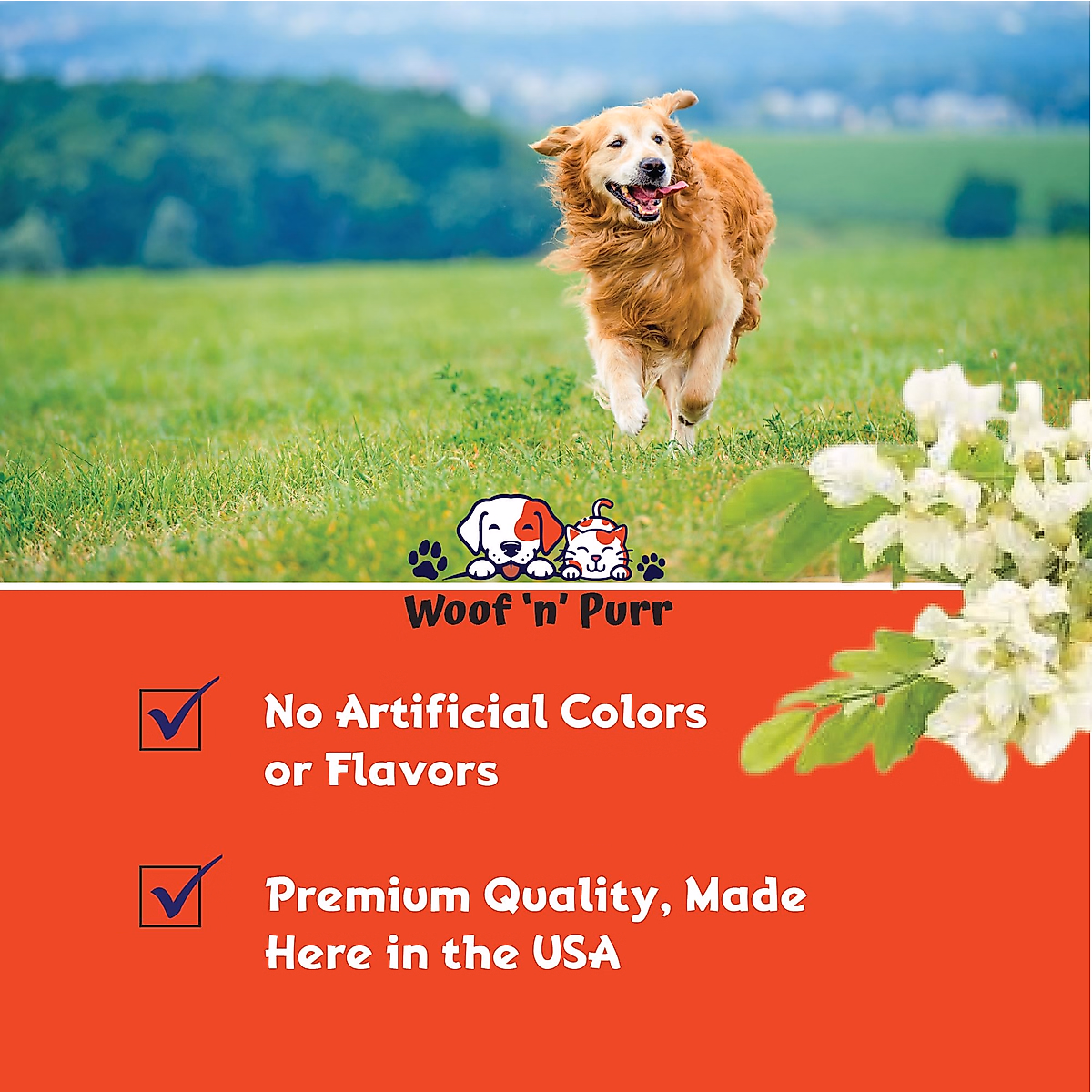 Cranberry Supplement for Dogs - Dog UTI Treatment - Dog Cranberry Supplement - Cranberry for Dogs - Dog UTI Cranberry - Dog UTI - UTI Treatment for Dogs - UTI Dogs - 1 fl oz - Bacon Flavor