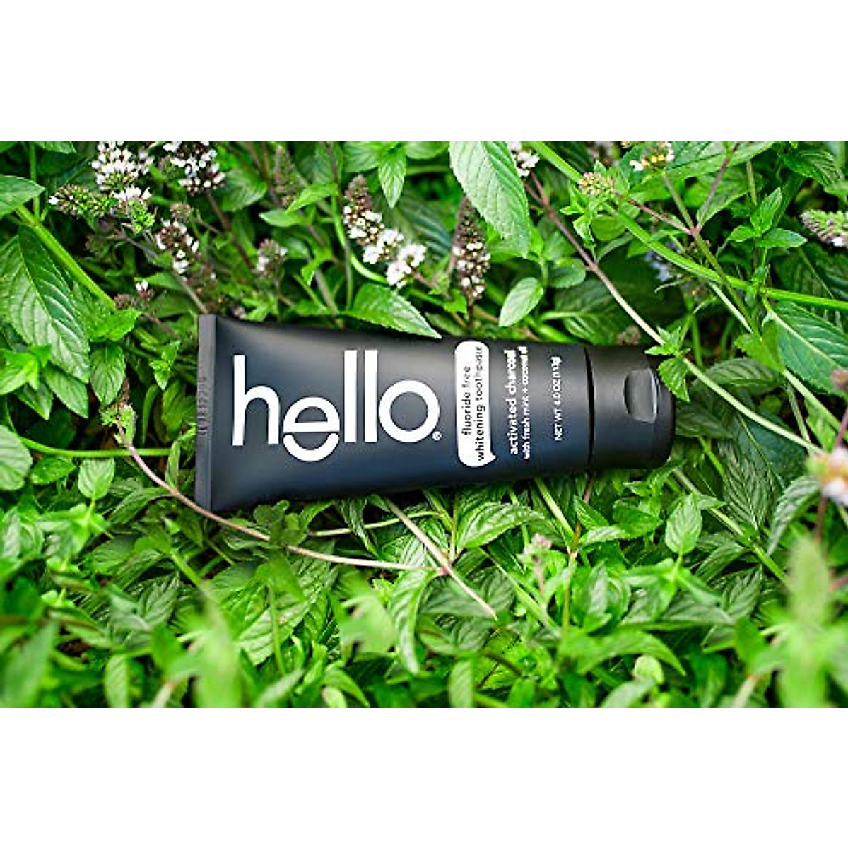 Hello Activated Charcoal Starter Kit Fluoride Free SLS Free Whitening Toothpaste Extra Freshening Mouthwash 2 Charcoal Bristle BPAFree Toothbrushes, Black, 1 Count