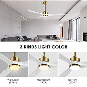 WINGBO 60 Inch DC Ceiling Fan with Lights and Remote Control, 3 Reversible Carved Wood Blades, 6-Speed Noiseless DC Motor, Modern Ceiling Fan in Brass Finish with White Blades