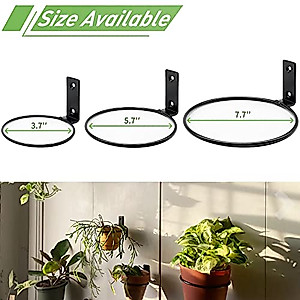 6 Pack 8 Inch Wall Flower Pot Holder Ring Plant Hanger, Metal Planter Hooks Wall Mounted Bracket Heavy Duty for Outdoor Indoor