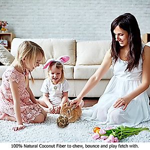 SunGrow Dental Floss Fiber Ball for Rabbit, Cat, Dog, Cleans Teeth to Maintain Healthy Gums, Play Ball, Grinding and Gnawing Treats for Chinchilla, Hamsters, Gerbils