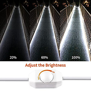 YQNLIFA Dimmable 80ft LED Rope Lights, 864 LEDs IP65 Waterproof Outdoor Indoor Linkable Cuttable Rope Light, 110V 6000K Daylight White Rope Light for Patio Garden Corridor Home Party Décor