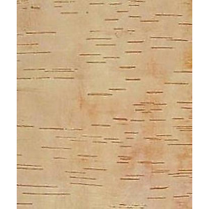 Bhojpatra, Betula Utilis for Mantra Siddhi Wooden Yantra Wooden Yantra, Bhojpatra Bark Sheet (Pack of 5 Sheets)