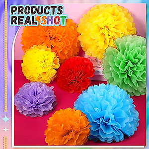 Estune 48 Pcs Tissue Paper Pom Poms 14''/ 12''/ 10''/ 8''/ 6'' Tissue Paper Flowers Decorations for Wedding Birthday Bridal Shower Baby Shower Decor (Rainbow)