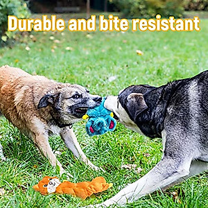 AWOOF Dog Squeaky Toys No Stuffing, Crinkle Dog Toy (Animals)