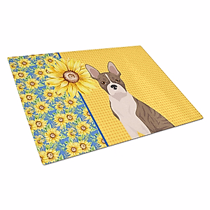 Caroline's Treasures WDK5337LCB Summer Sunflowers Brindle Boston Terrier Glass Cutting Board Large Decorative Tempered Glass Kitchen Cutting and Serving Board Large Size Chopping Board