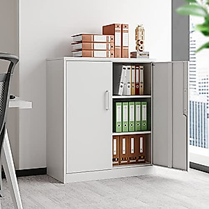 Metal Storage Cabinet with 2 Doors, Lockable Steel Storage Cabinet with 2 Doors and Adjustable Shelves, Steel Lockable File Cabinet, Locking Tool Cabinets for Office,Home,Garage