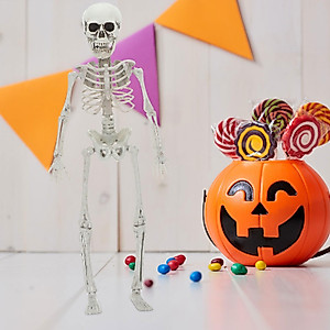The Mannequin Halloween Skeleton Plastic Models Mannequin Maniquin Scary Halloween Decorations Anatomy Teaching Tools Toy Decorate Props The Sign Some Joints Movable Full Body Mannequin