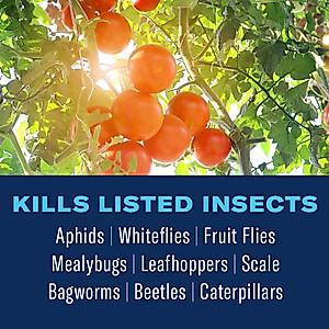 BioAdvanced Organics Brand Neem Oil, Ready-to-Use, 24 oz