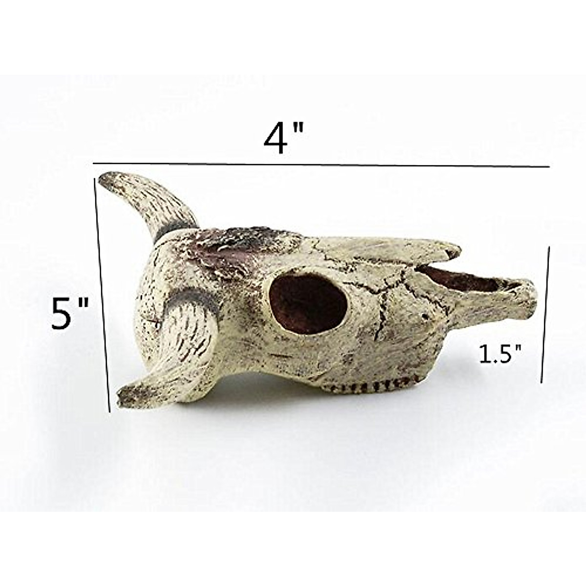 Leoyoubei Aquarium Decoration, Fish Tank Small Skull,Fish Turtle Hidden, Bonsai beautification. Cave Landscape Pet Reptile House Shrimps & Snails Love Them (Cattle Skull)