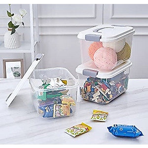 ZHENFAN 5.5 Quart Clear Storage Latch Box/Bin with Lids, 4-Pack Plastic Organize Bins with Handle, 5 Liter