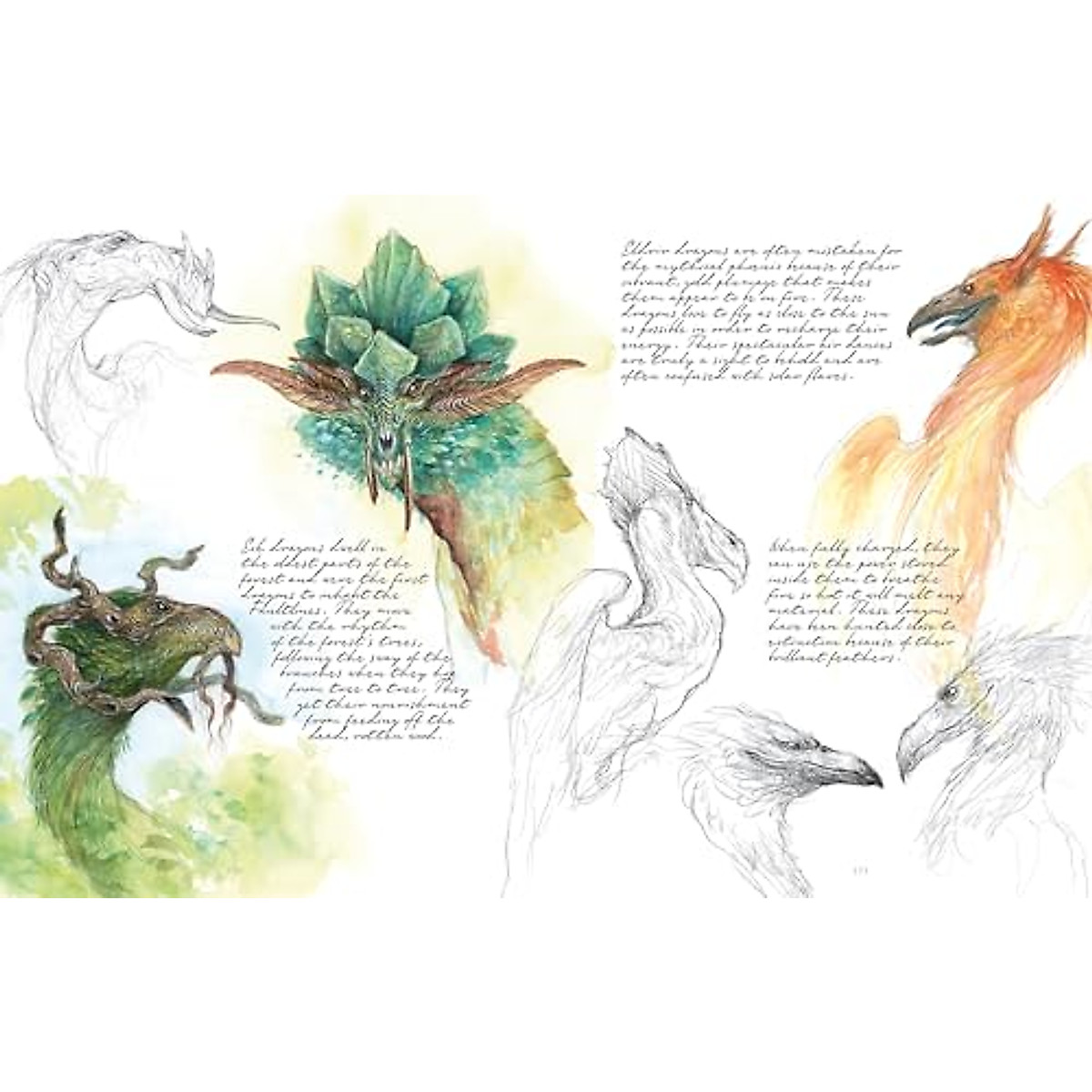 Faeries of the Faultlines: Expanded, Edited Edition