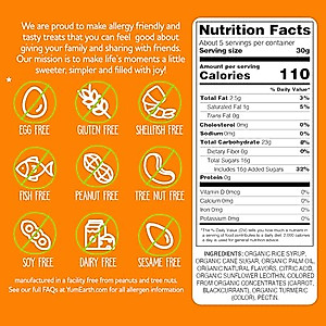 YumEarth Organic Fruit Chews - Fruit Flavored Candy Chews, No Dye, Allergy Friendly, Gluten Free, Non-GMO, Vegan Candy with No Artificial Flavors, 5 ounce (Pack of 6)