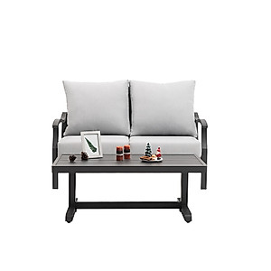 LebenLiebe Outdoor Patio Loveseat 2 Seat Sofa Patio Love Seat with Curved Armrests Aluminum Loveseat Couch with Coffee Table,Gark Grey