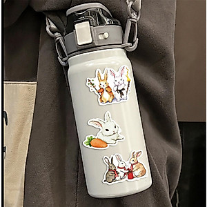 Cute Cartoon Cats Stickers for Kid (KM)