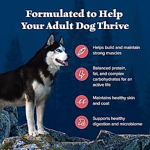 Blue Buffalo Wilderness Adult High-Protein Dry Dog Food with Real Salmon, Grain-Free, Made in the USA with Natural Ingredients, Salmon, 24-lb. Bag