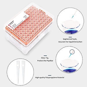 Filtered Pipette Tips, Universal Filtering Pipette Tips, DNse/RNase Free (10 Racks,960 Tips) (1-200ul)