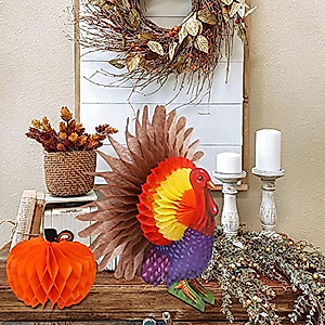 yosager 3 Pack Thanksgiving Table Decorations Tissue Turkey and Pumpkin, Honeycomb Decor Thanksgiving Centerpiece Party Accessory Table Supplies