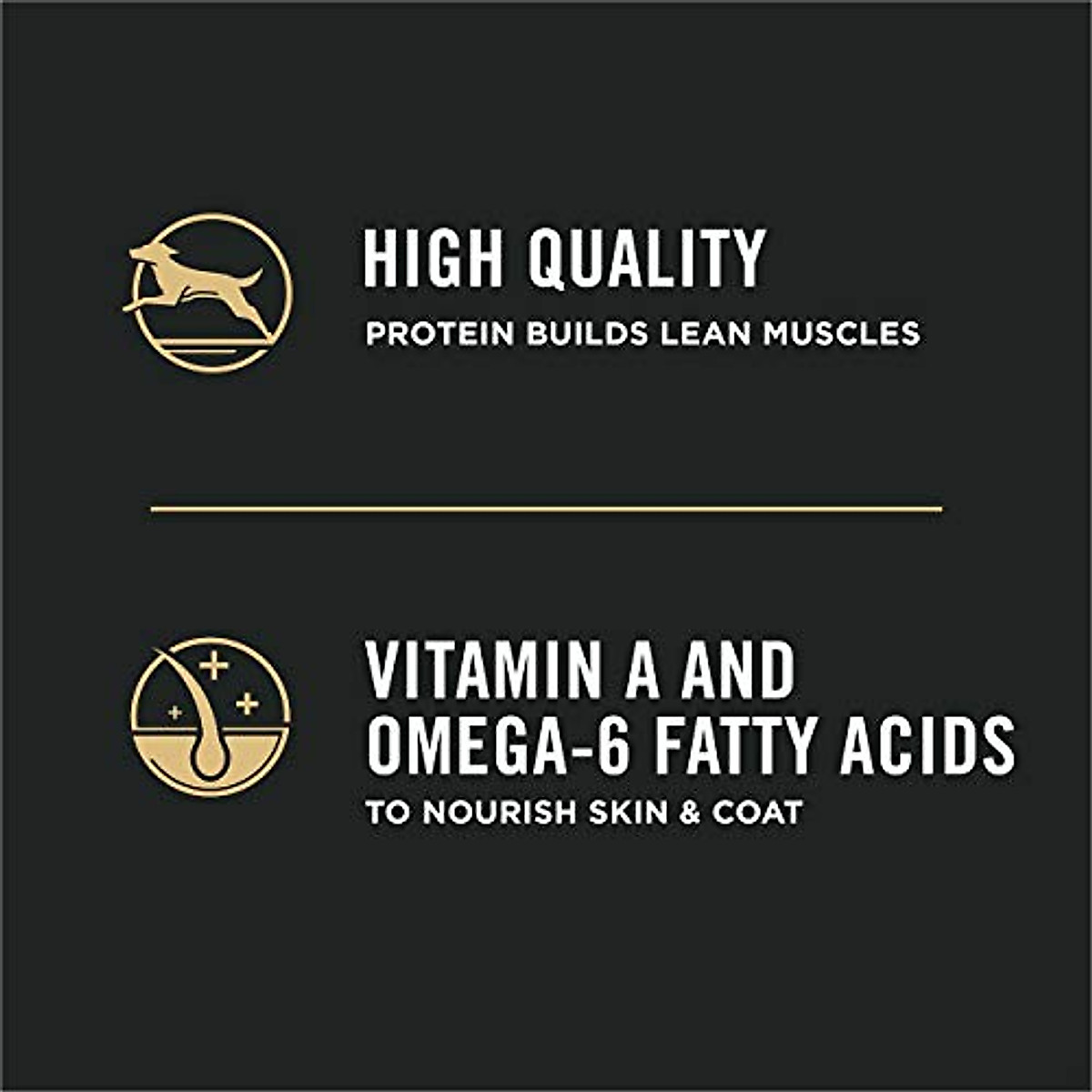 Purina Pro Plan High Protein Puppy Food DHA Lamb & Rice Formula - 6 lb. Bag