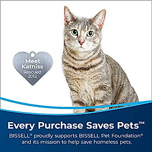 BISSELL Pet Pretreat + Sanitize Stain, 2 pack, 11299, 22 Fluid Ounces (Packaging may vary)