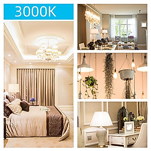 TZHILAN G4 LED Light Bulb 120V Dimmable, Brighter with Glass Cover, 2.5W Bi Pin Base Mini Lamp Warm White 3000k Equivalent 25W Halogen Bulb Replacement Pack of 5