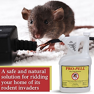 One Gallon Jug Pro-Pell Rodent Repellent Repells Mice & Rats. Makes 10 gallons