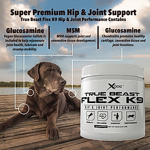 True Beast Flex K9 Hip, Joint, Muscle Builder & Performance Supplement for Dogs (Veterinarian Formulated) Glucosamine, MSM, Chondroitin, Creatine, DMG, Organic Turmeric, Vitamin C, Manganese.