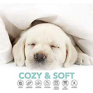 CHILL·TEK Blanket Once A Pharmacist Fleece Blanket Super Soft Throw Blanket Cosy Warm Flannel Blanket Lightweight Durable Sofa Blanket Luxurious Bed Blanket Gift for Men Women 50"x40"