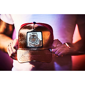 Goorin Bros. Classic with a Modern Touch, Multicoloured, One Size