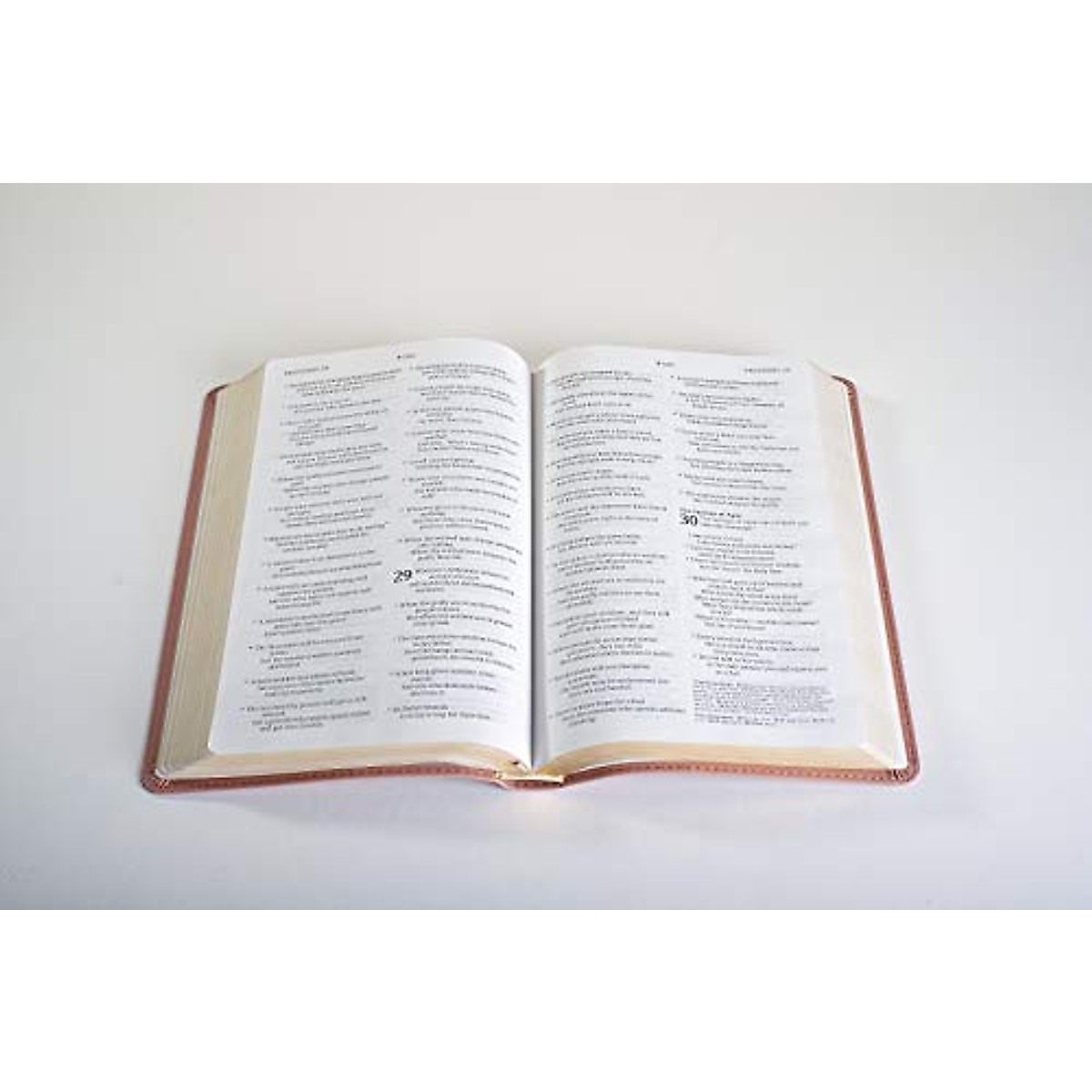 NLT Thinline Reference Holy Bible (Red Letter, LeatherLike, Brushed Pink): Includes Free Access to the Filament Bible App Delivering Study Notes, Devotionals, Worship Music, and Video