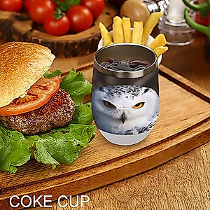 WYUSPGK 304 Stainless Steel Insulated Cup, Snowy Owl Eyes Print Smooth Rim, Durable & Reusable - Perfect for Office, Home, And Travel