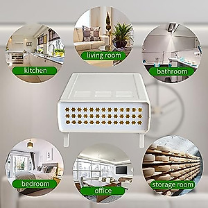 SIYUHO Negative ion Generator, High Output Air ionizer for Home - 200 Million ions/Sec, ionizer Air Purifier for Bedroom, Kitchen, Bathroom, Smoke Dust, Pets, Odor, Eliminator