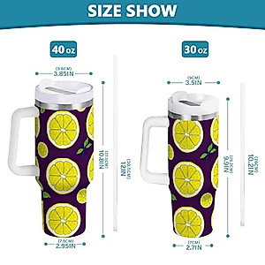Lemon Purple Stainless Steel Insulated Tumbler with Straw and Handle for Water, Tumbler Insulated 30 OZ / 0.89 L