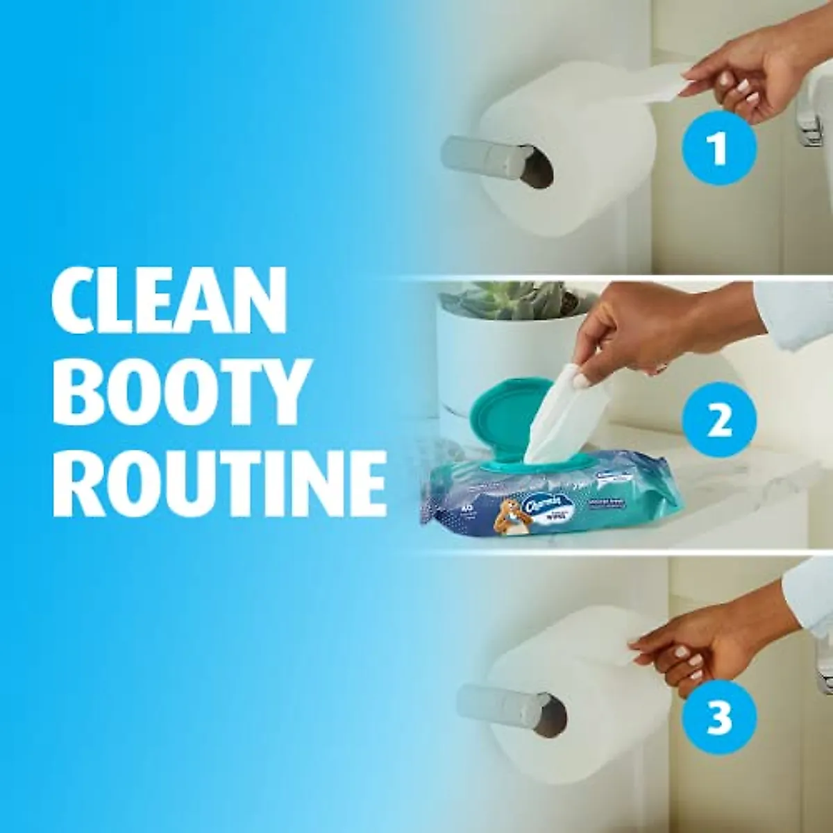 Charmin Flushable Wipes, 12 packs, 40 Flushable Wipes per Pack