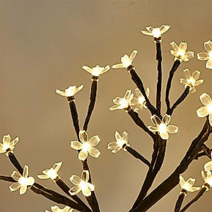 PEIDUO 17.5” Lighted Cherry Blossom Tree 48 Warm White Lights Plug in Adapter Light up Bonsai Tree for Christmas Indoor Home Bedroom Office Living Room Tabletop Tree Night Light Artificial Plants